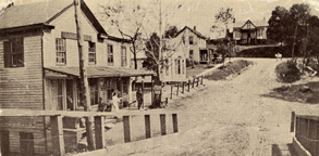 Bio-Minerd, HenryPritchardCroston